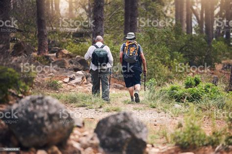 하이킹 피트니스 산길에서 모험 자유 스포츠를 위해 숲을 걷는 사람들 여행 훈련 및 자연 속에서 운동 웰빙 트레킹 및 유산소 운동을 위한 등산객의 뒤 숲에 대한 스톡 사진 및
