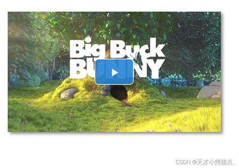 Vue中使用vue Video Player视频播放器 Csdn博客