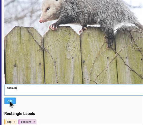 Using Text Prompts For Image Annotation With Grounding DINO And Label Studio Label Studio