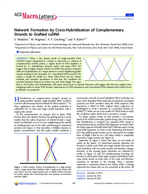Pdf Network Formation By Cross Hybridization Of Complementary Strands To Grafted Ssdna