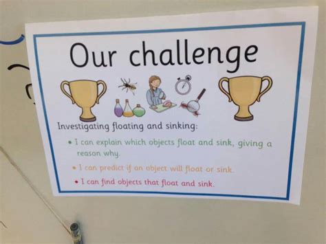 Challenge Float And Sink Sink Or Float Float Water Play