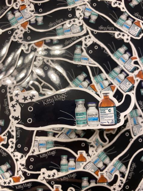 Kitty Magic Veterinary Humor Sticker Etsy