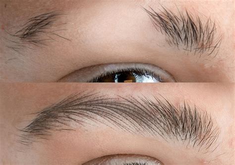 Phibrows Delphi Course Microblading And Shading