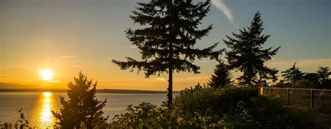 Dine Around The World In Seattle Southside Explore Seattle Southside