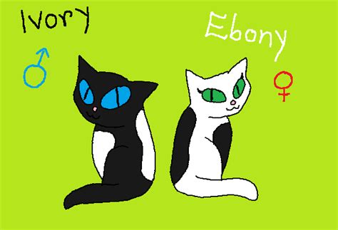 Ebony And Ivory The Kitties By Katarinathecat On Deviantart
