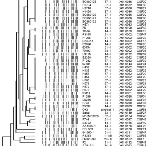 The Dendrogram Created When The Xbai Pfge Banding Pattern Of Each Of Download Scientific