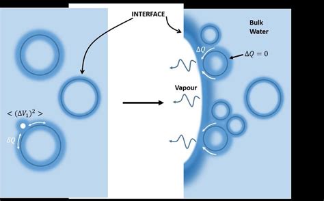 Illustration Of The Proposed Evolution Of The Interface During