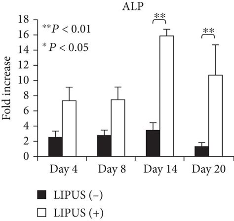 Histogram Of Real Time Pcr Gene Expression Analysis Results Of 5 Cases Download Scientific