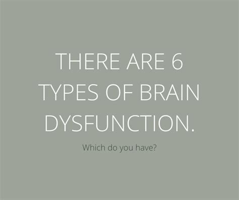 From Fog To Focus A Guide To The 6 Types Of Brain Dysfunction And How