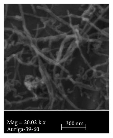 Sem Images A Pristine And B And C Modified Mwnts For 10 Min Download Scientific Diagram