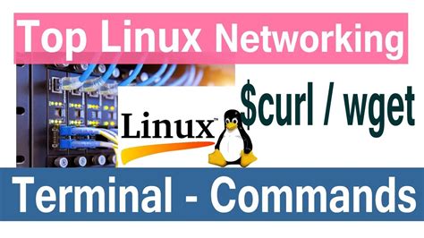 Linux Networking Commands Tutorial Linux Tutorial For Beginners And Experienced Harisystems