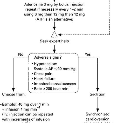 Algorithm For Narrow Complex Tachycardia Download Scientific Diagram