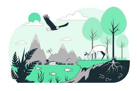 Ecosystem Diagram Drawing Superstock Worksheets Library