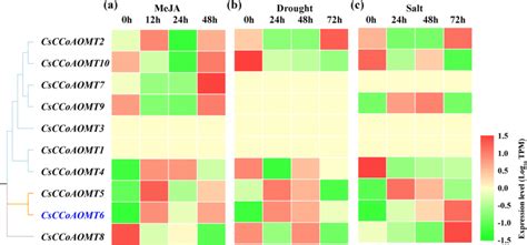 Expression Patterns Of CsCCoAOMT Genes Under Different Treatments TPM