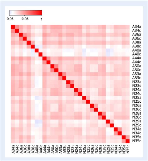 Figure 1 From Promoter Targeted Bisulfite Sequencing Reveals Dna Methylation Profiles Associated