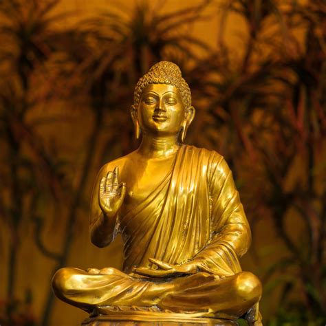 Buddha Purnima 2022 Purnima Tithi History Significance And
