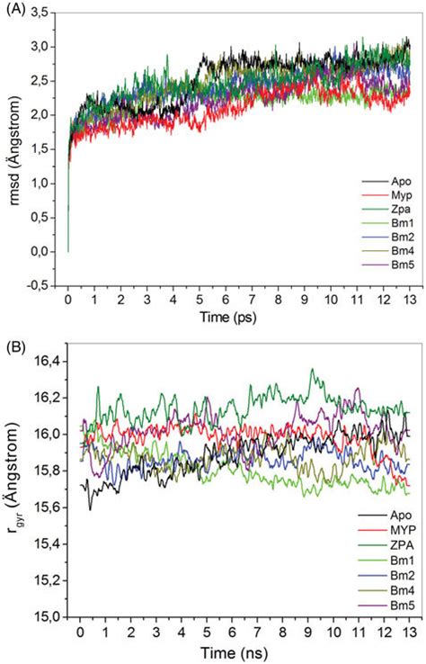 Analysis Of The Trajectory Of The Molecular Dynamics From The Atoms Of