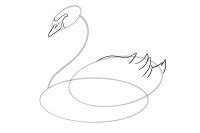 How To Draw A Swan An Easy To Follow Realistic Swan Drawing Tutorial