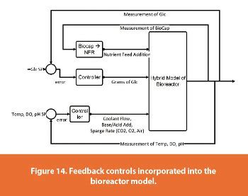 Hybrid Model Identification For Monoclonal Antibody Production Bioreactor A Digital Twin