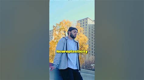 How Neuroplasticity Works Deep Psychology Foreign Psychologyfacts Usa