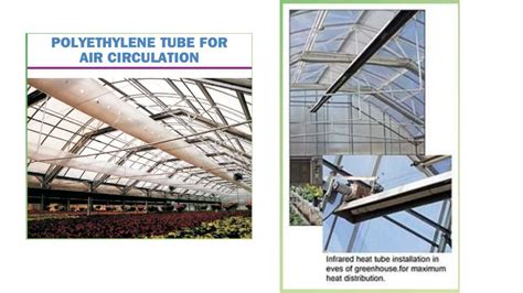 Plant Propagation Structures Pptx Gardening Home And Garden