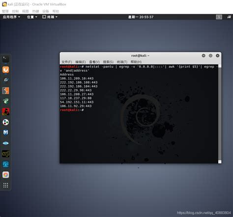 Kali Linux Bash命令kali中bash Csdn博客