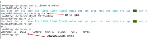 docker容器命令 docker 执行容器内命令 csdn博客