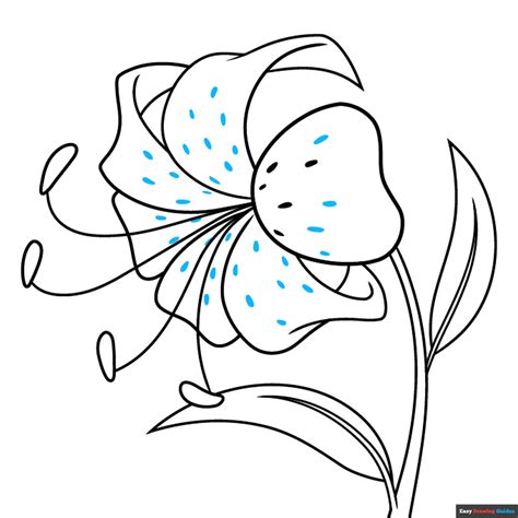 How To Draw Lilies Flowers