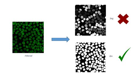 GitHub Prubiocosta 3D Cell Segmentation With ImageJ