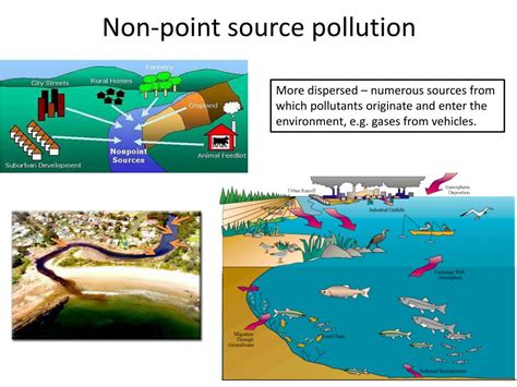 What Is A Point Source Of Water Pollution At Rita Hill Blog