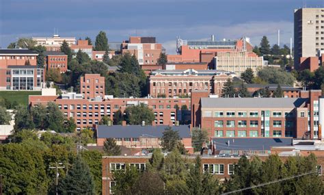 Strike Nursing The Ethics Of Crossing The Picket Line