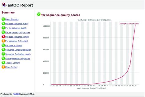 Quality Check Of Raw Sequence Data Through The Fastqc Tool Download