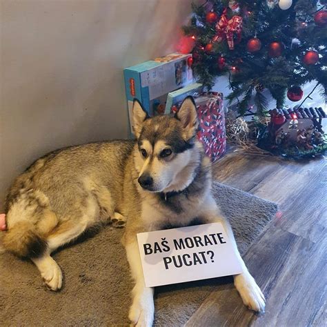 MatijeviĆ O Pirotehnici Ne Trebamo Split Pretvorit U Bojno Polje Da Bi Bili Sretni I Uspješniji