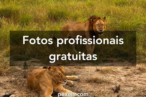 10 Melhores Imagens De Simba Sembolleri · Download 100 Grátis · Fotos