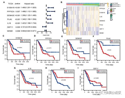 7 纯生信，基因集 分型 预后signature （一个基因集不够，两个一起凑） 知乎