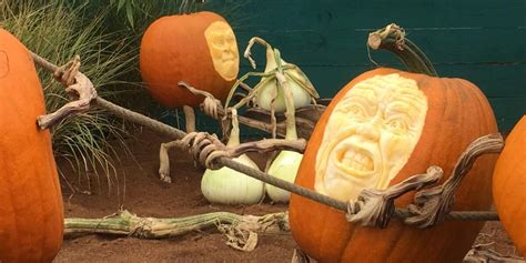 The 4 Convolutional Neural Network Models That Can Classify Health