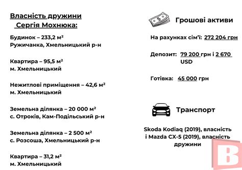 Декларації голів комісій хмельницького МСЕК Vsim Ua