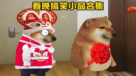 爆肝999个小时，一口气带你看完春晚搞笑小品 Cheems开心小狗 Cheems开心小狗 哔哩哔哩视频