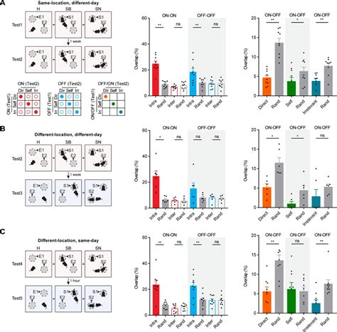 Distinct And Dynamic On And Off Neural Ensembles In The Prefrontal