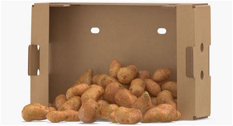 고구마가 쏟아진 골판지 상자 02 3d 모델 49 Max Obj C4d Free3d