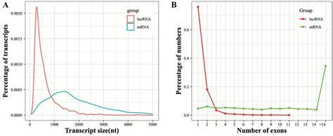 Distribution Of Sequence Length And Exon Number Of Lncrnas Compared To
