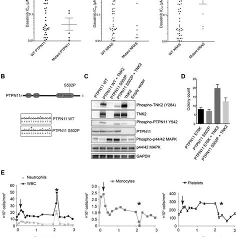 Who Defined Diagnostic Criteria For Mds Mpn Classification 3 Download Table