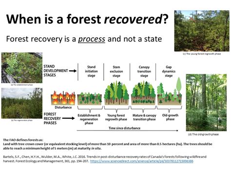 Dr Joanne C White On Twitter Our Results Emphasize That Post Fire Forestrecovery In The