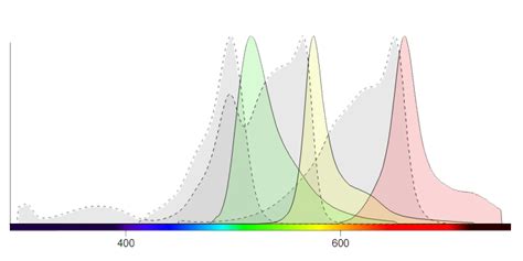 Fluorescence Spectra Viewer Biozol