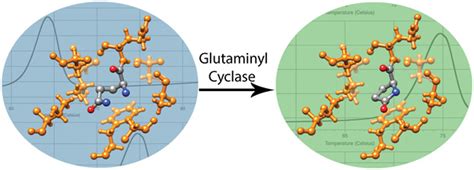 The Importance Of Pyroglutamate In Cellulase Cel7a Dana 2014