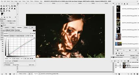 Gnu Image Manipulation Program Extensions Registry
