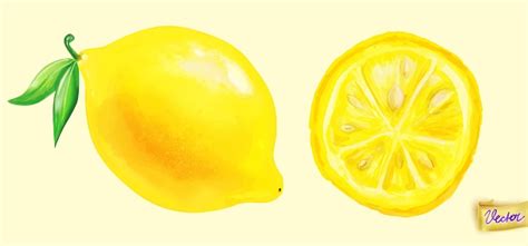 조각이 없는 손으로 그린 레몬 그림은 파란색 배경에 있습니다 레몬은 줄기와 과일의 윗부분이 보이는 전체로 표시됩니다 감귤류 과일에 대한 스톡 벡터 아트 및 기타 이미지