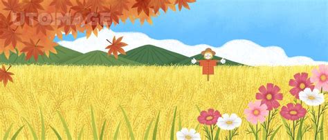 단풍나무와 코스모스가 있는 가을 풍경 일러스트 Spai669 유토이미지 일러스트 법정기념일 계절 가을 입추 허수아비 단풍 벼 추수 코스모스 산 구름