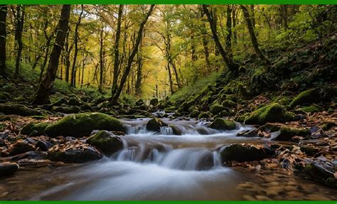 Cipherlab Barcode Scanner Common Troubleshooting