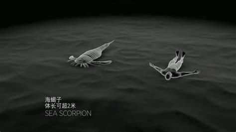 紀錄片知識分享史前海洋中最致命的五大巨怪了解一下 每日頭條